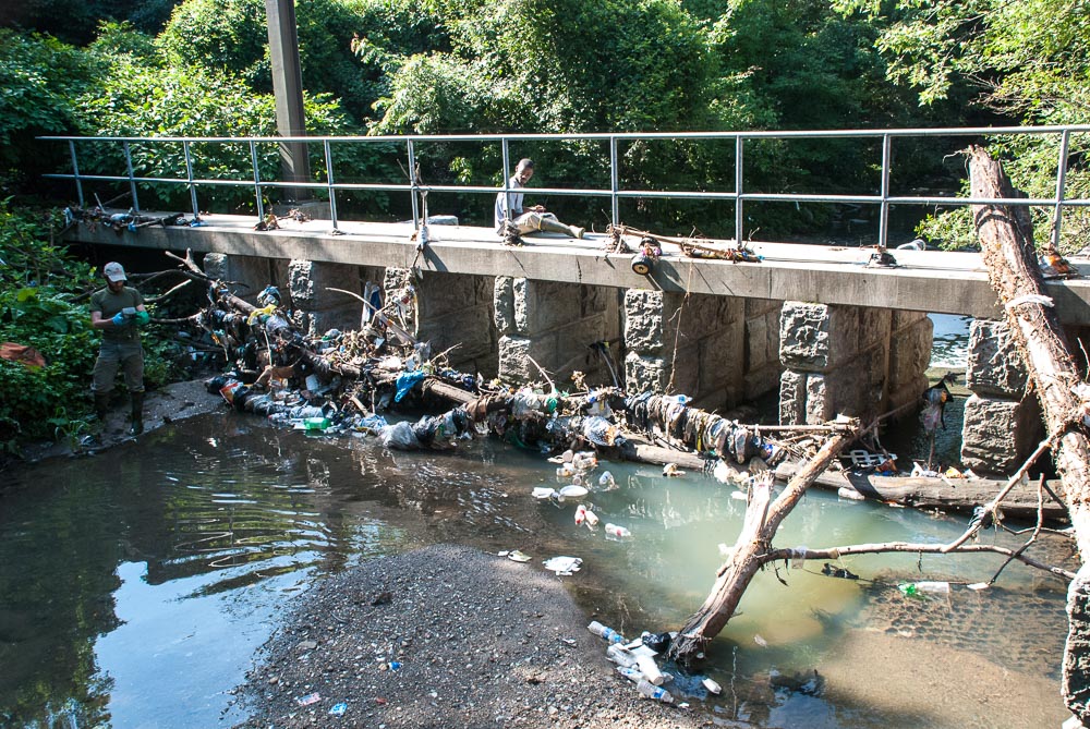 Baltimore Ecosystem Study: Urban Streams | Helen Glazer