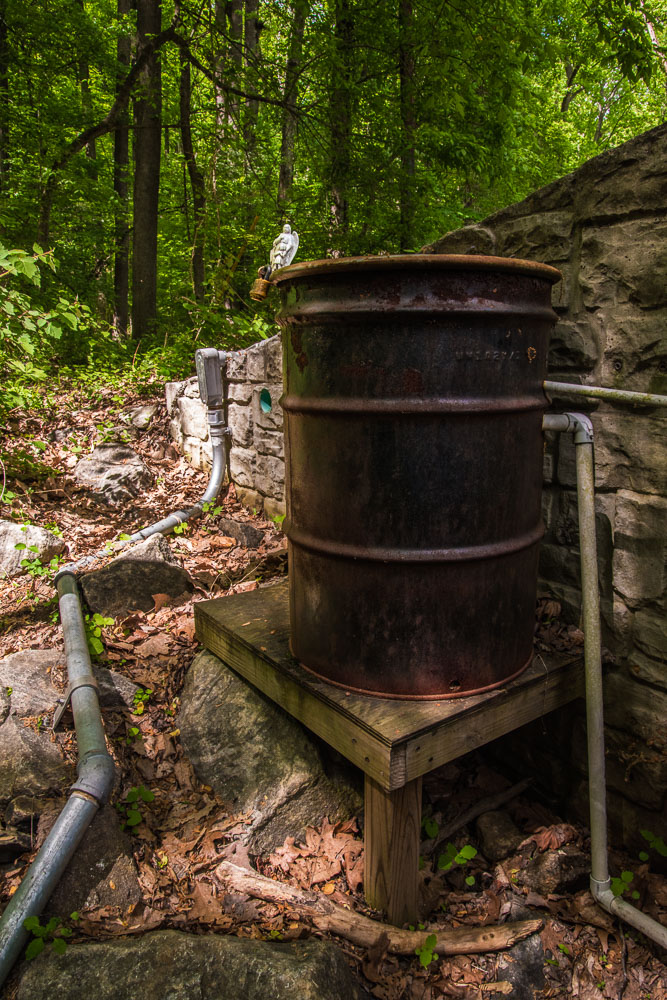 Baltimore Ecosystem Study: Urban Streams | Helen Glazer