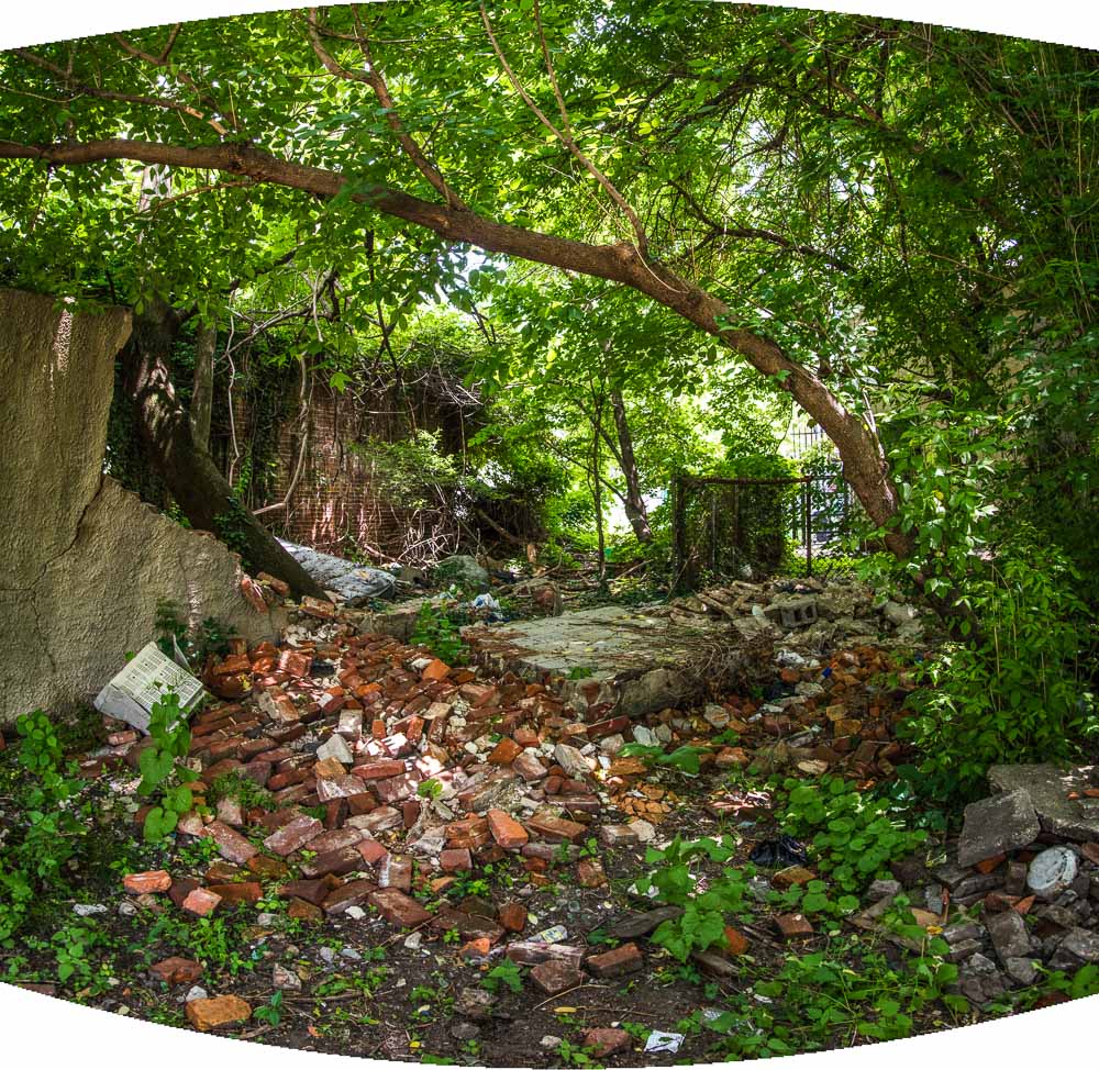 Baltimore Ecosystem Study: Mosquito Study | Helen Glazer