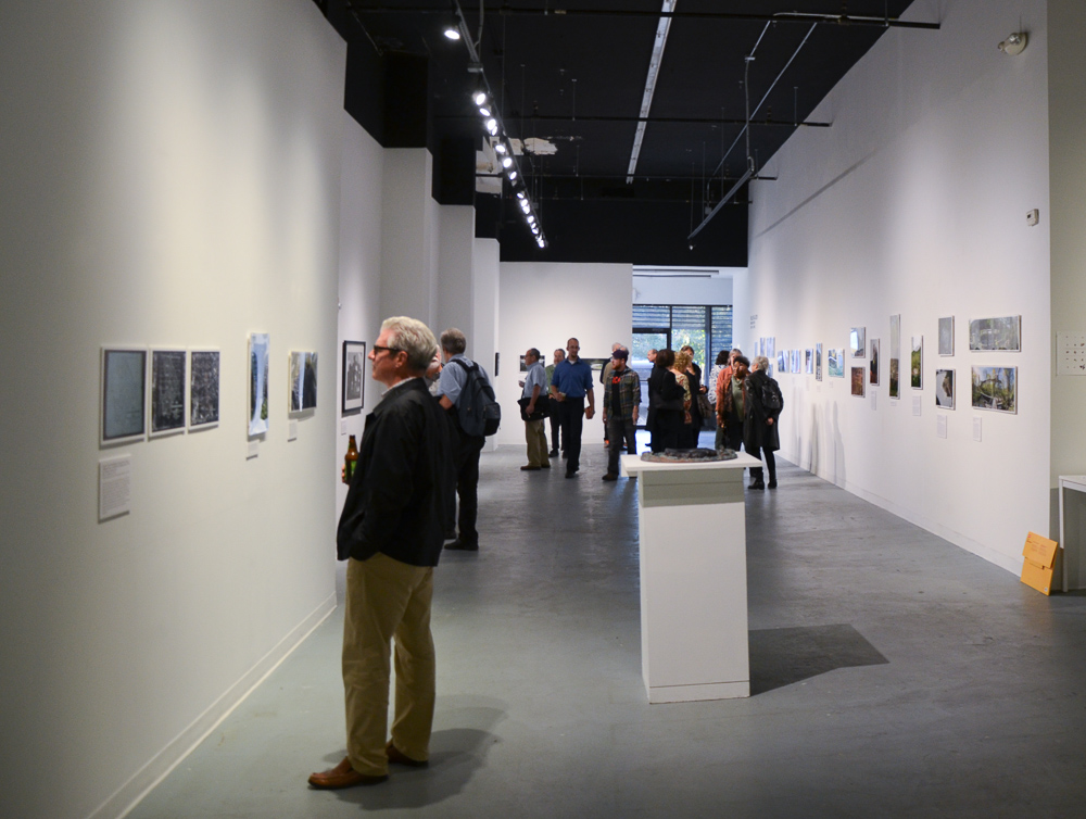 Baltimore Ecosystem Study (2014-2015) | Helen Glazer