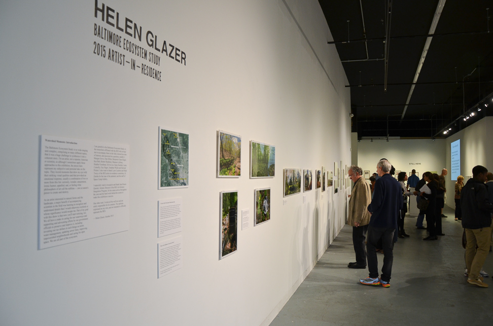 Baltimore Ecosystem Study (2014-2015) | Helen Glazer
