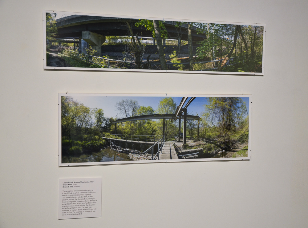 Baltimore Ecosystem Study (2014-2015) | Helen Glazer