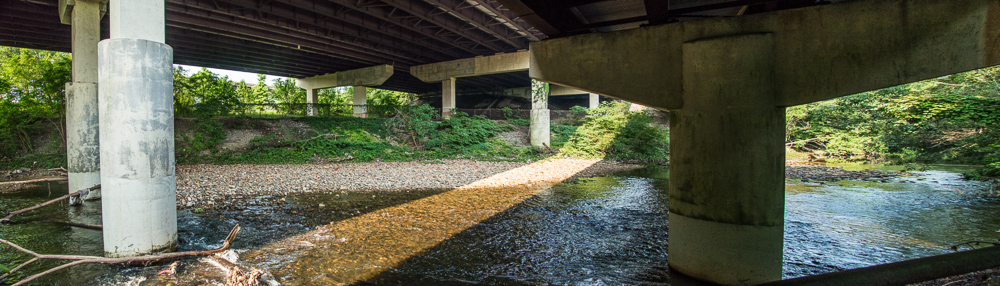 Baltimore Ecosystem Study: Urban Streams | Helen Glazer