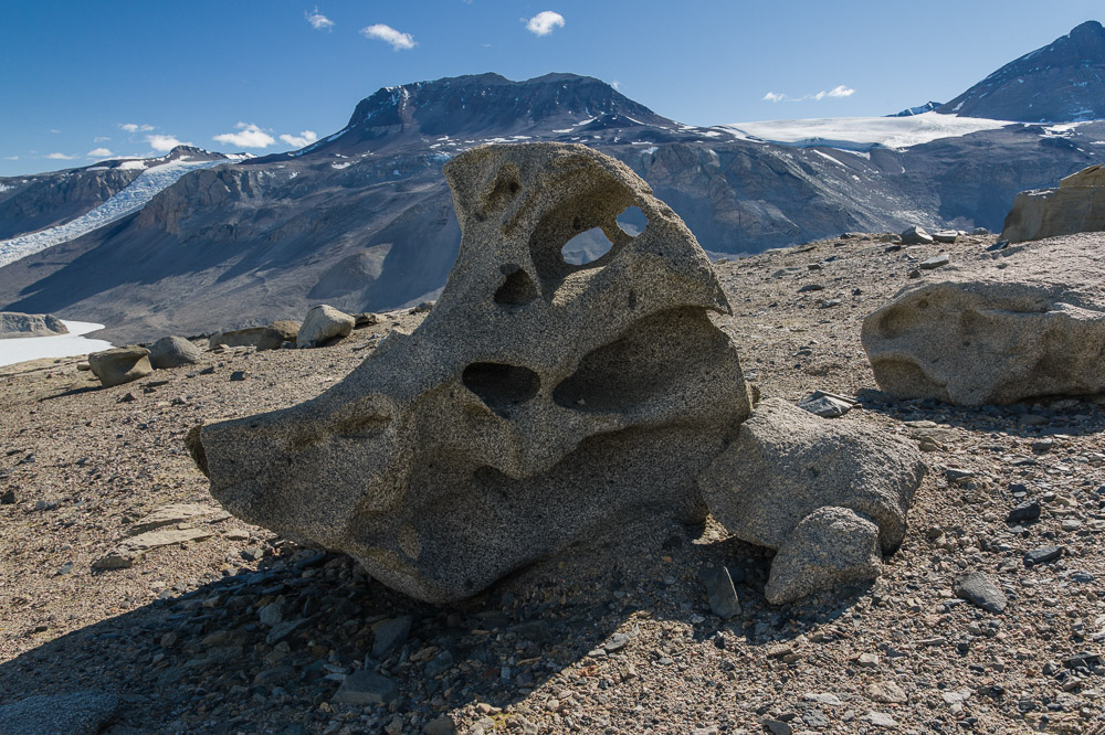 Walking in Antarctica: Sculpture from 3D Scans | Helen Glazer