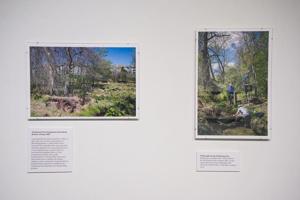 Baltimore Ecosystem Study (2014-2015) | Helen Glazer