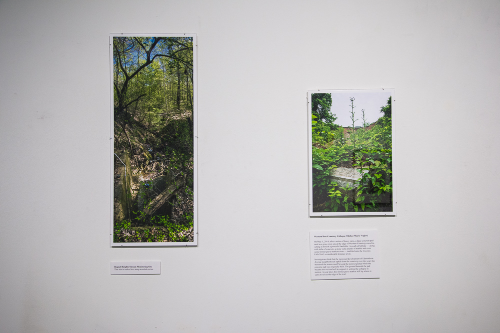 Baltimore Ecosystem Study (2014-2015) | Helen Glazer