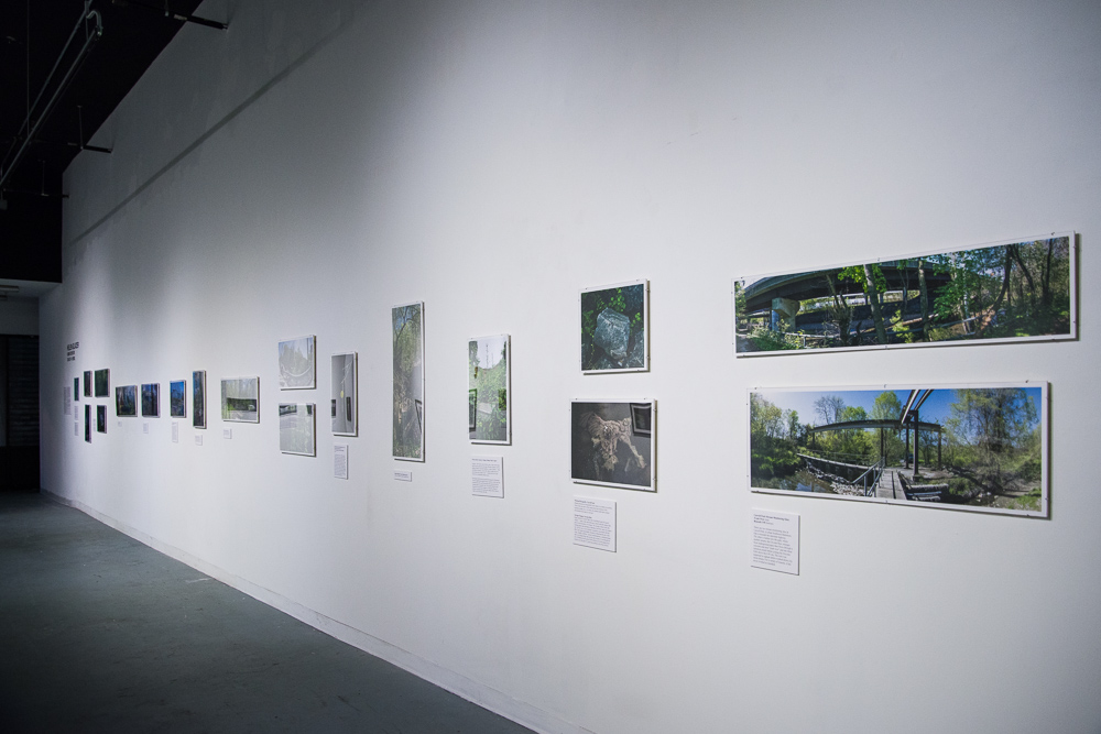 Baltimore Ecosystem Study (2014-2015) | Helen Glazer