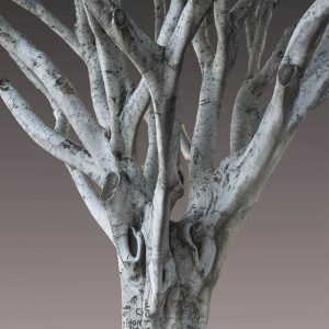 Urban Tree Portraits (2012—) | Helen Glazer